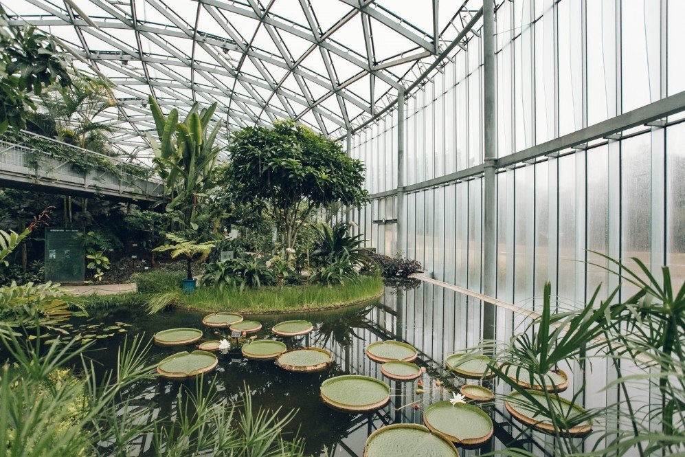 Photographers capture aesthetically pleasing glass greenhouses from all ...
